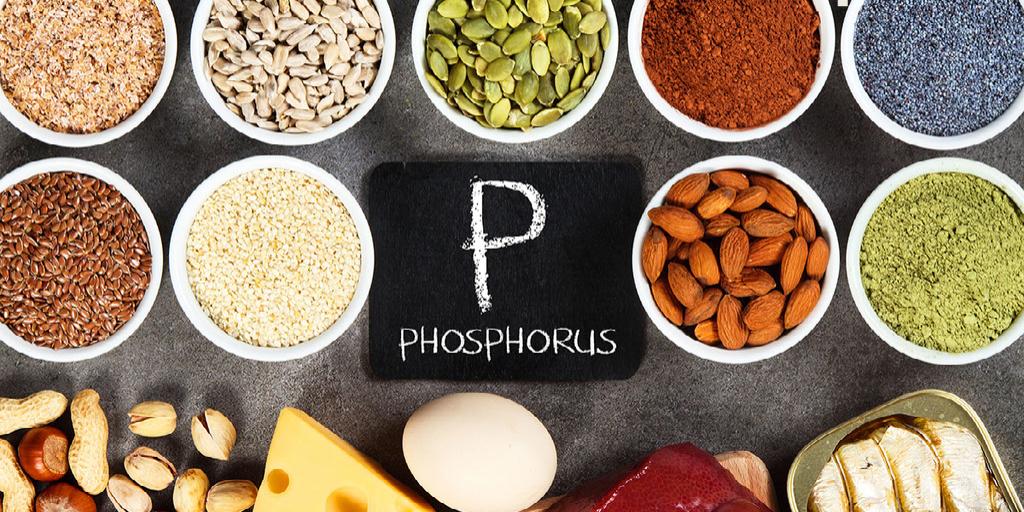 Fosforo: cos'è, a cosa serve e come si assume? | NutriDoc